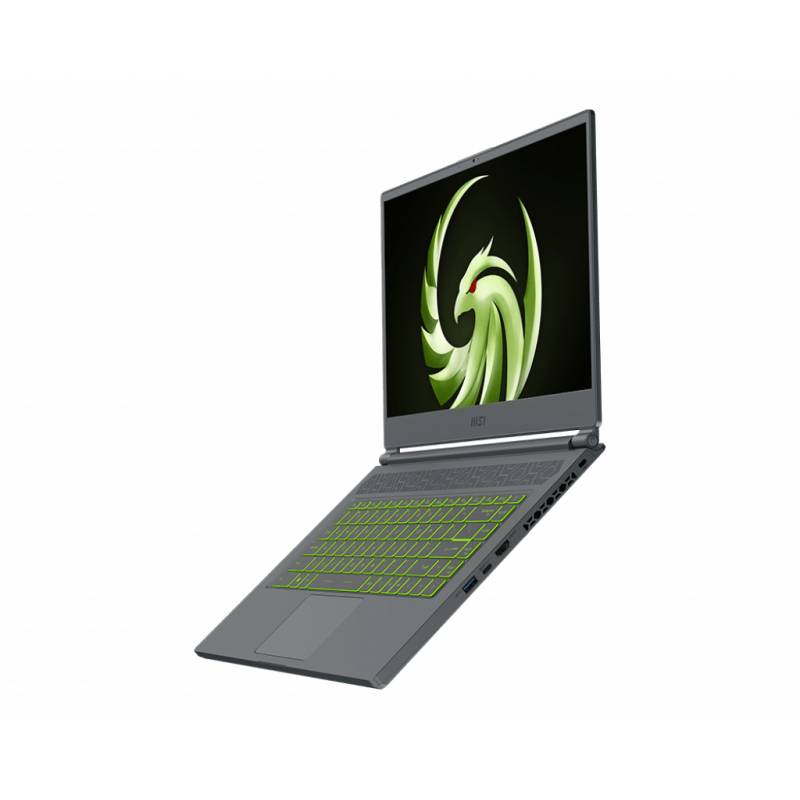 MSI - Pc Portable Gaming Delta 15 Ryzen 7 5800 /16 Go / 512 Go SSD / RX ...